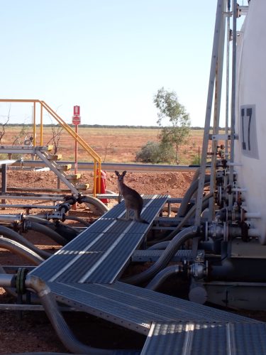 Tank Inspection IOR - Eromanga, Far West QLD Project | Vertech